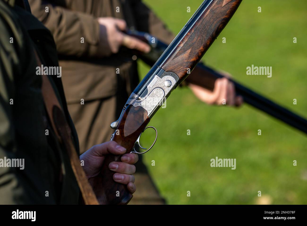 Pheasant Shooting, UK Stock Photo - Alamy