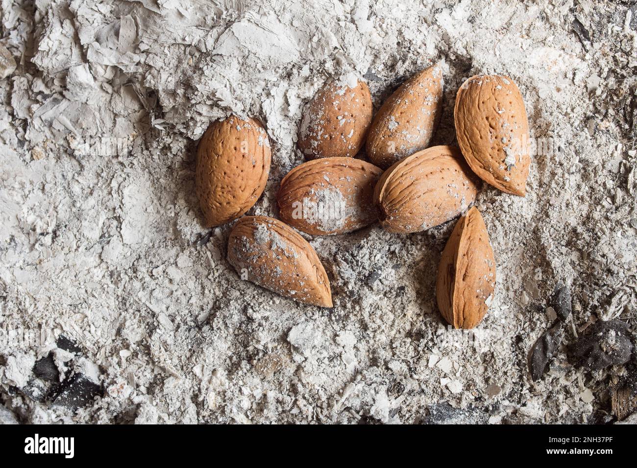 Ash-stained in-shell almonds in close-up, shot from a top view angle on ...