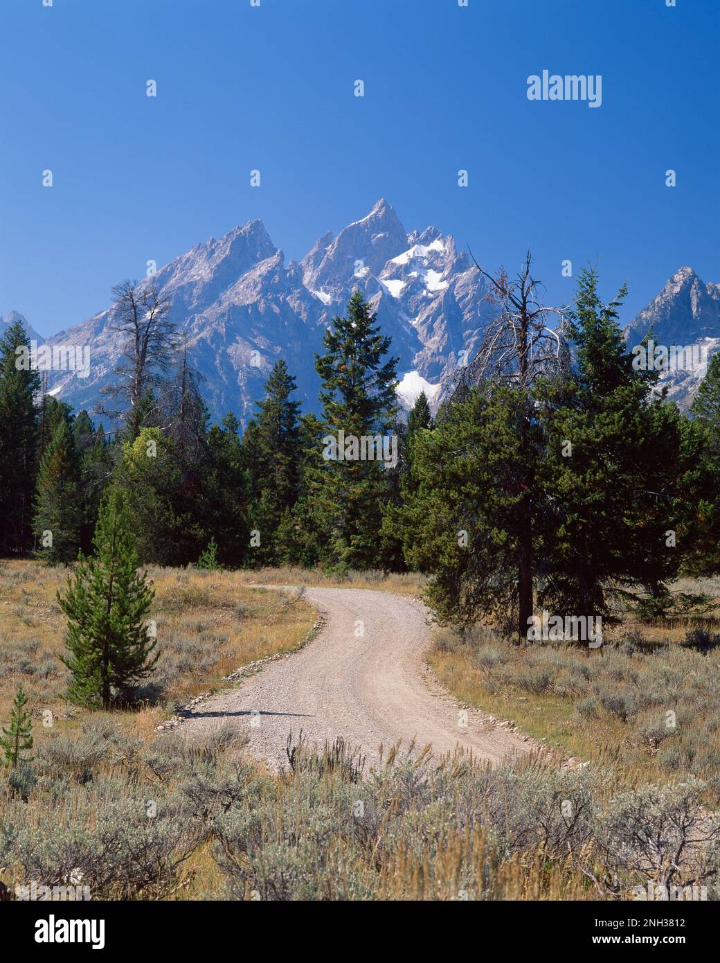 Winding dirt road with Grand Teton Mountains in the background Stock ...