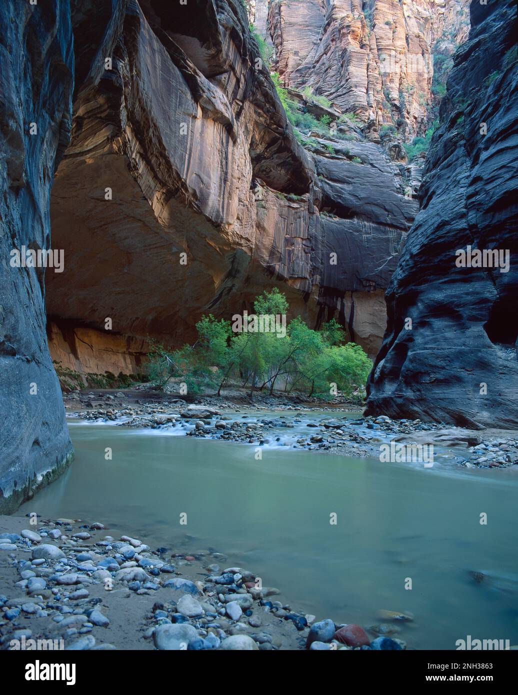 Virgin River is a tributary of the Colorado River in the U.S. states of ...