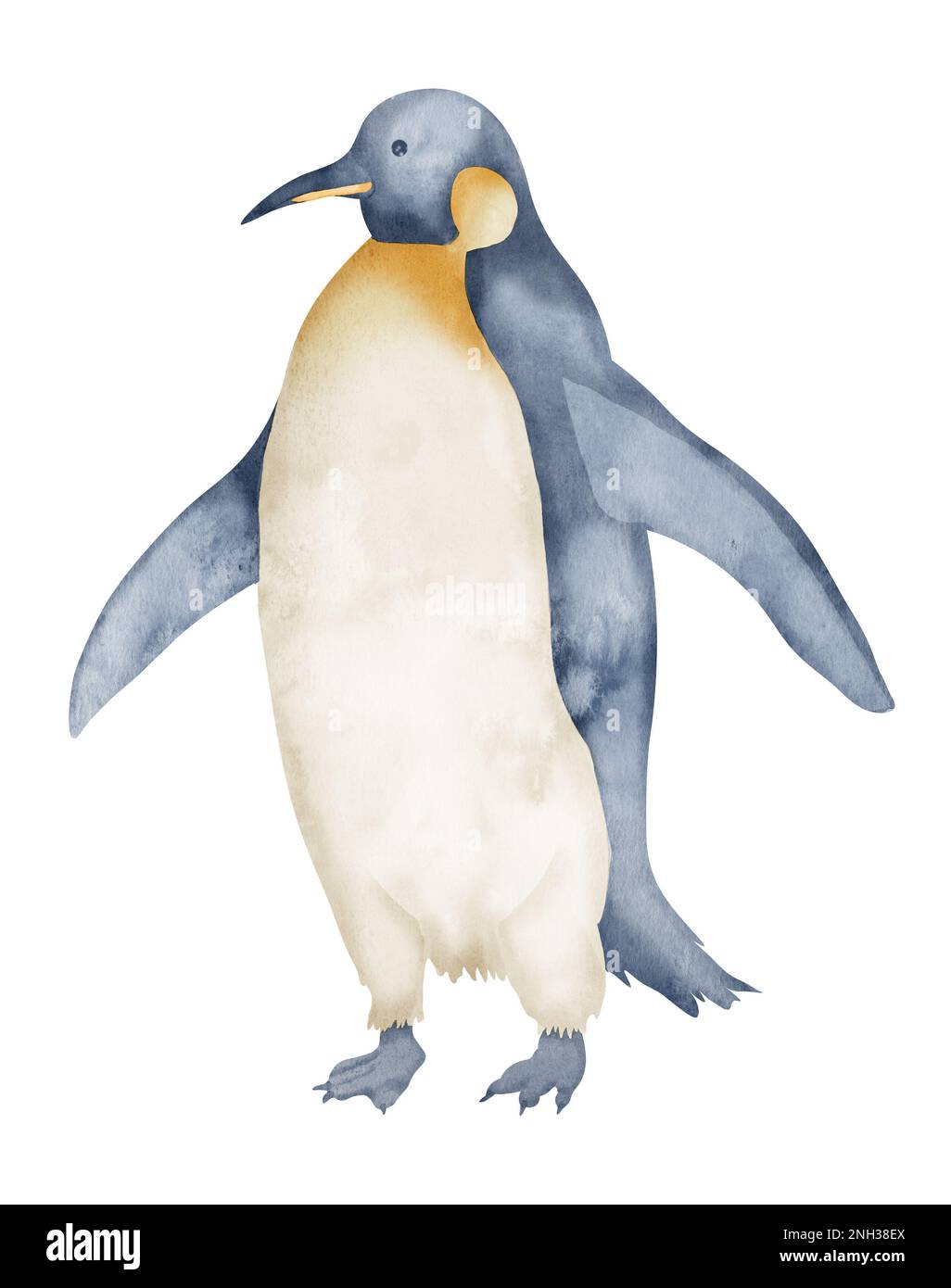 Antarctic Animals Penguins