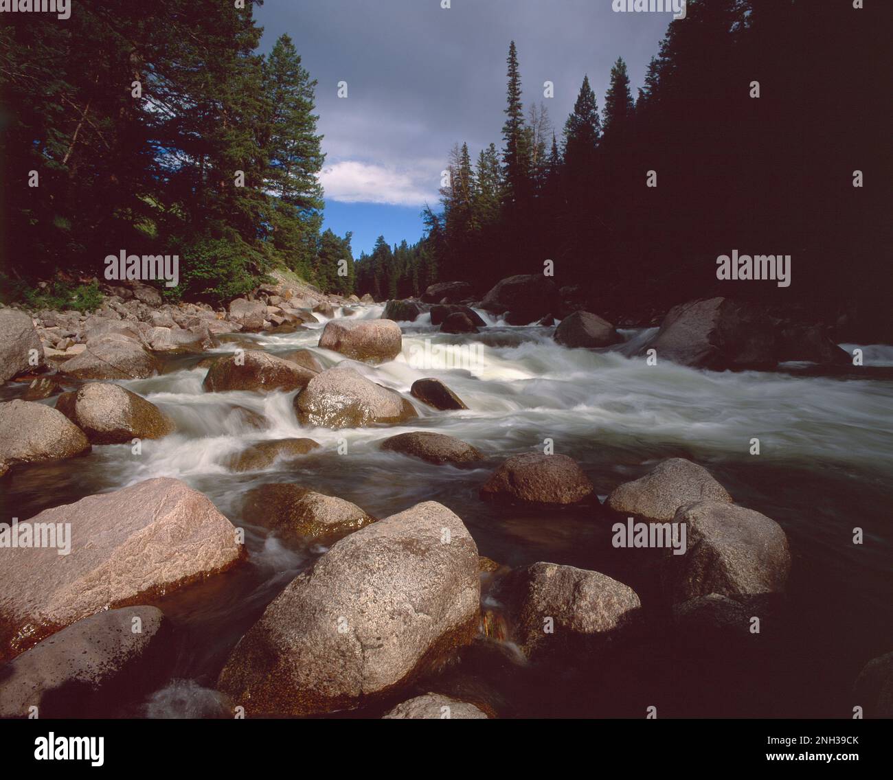 Dw25 341 hi-res stock photography and images - Alamy