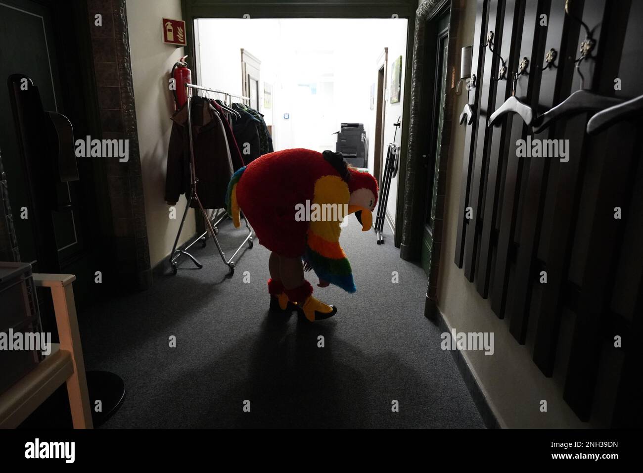 Marne, Germany. 20th Feb, 2023. A carnivalist puts on her costume in a ...