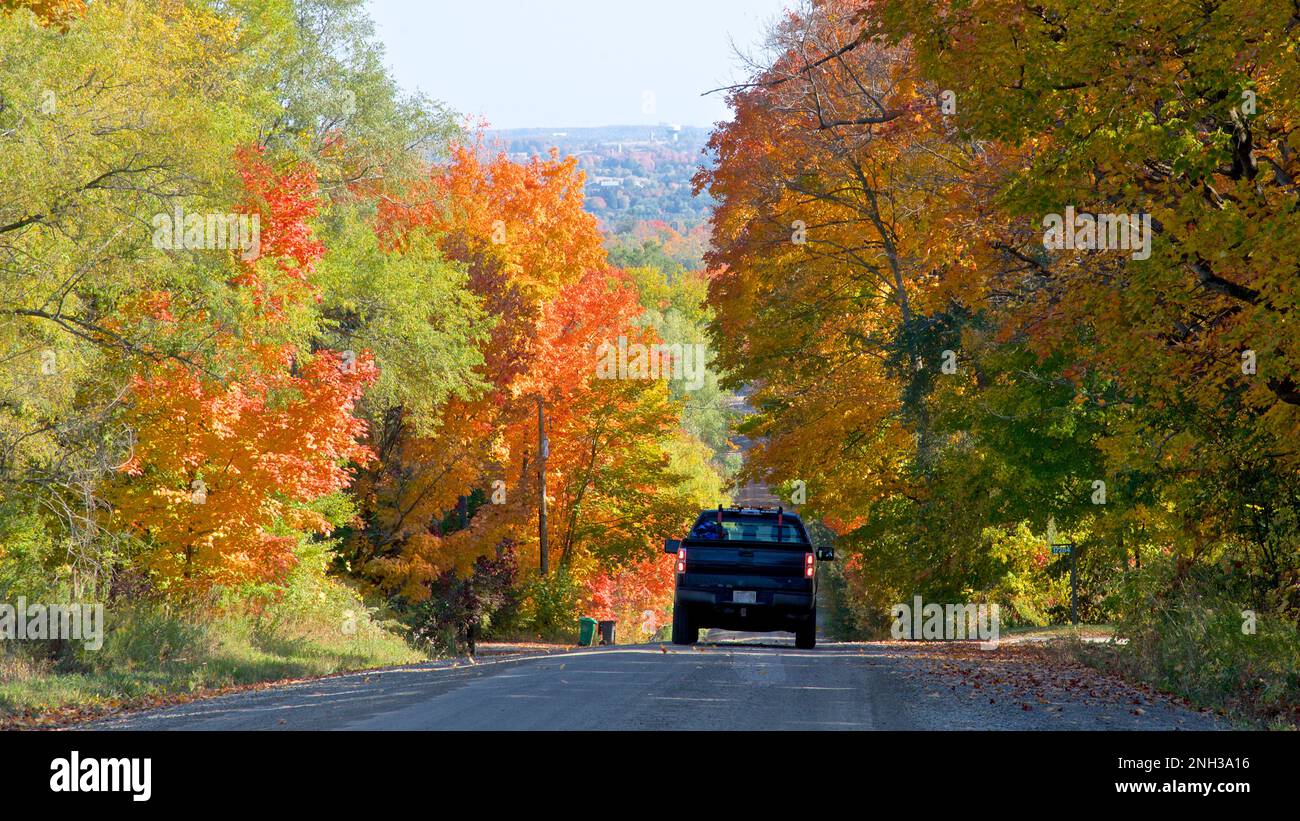 The landscape of the road trip with autumn leaf colour with a beautiful ...