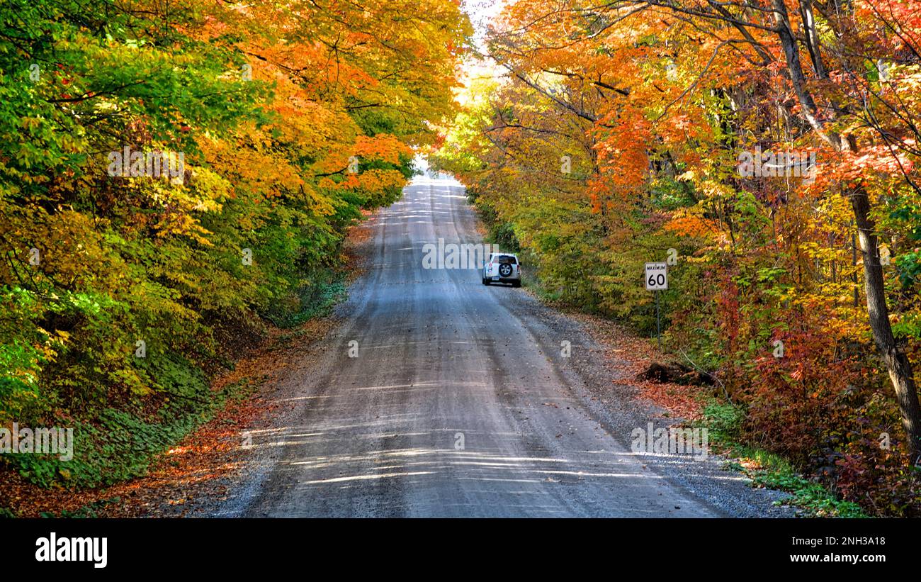 Fall colour car tour on a beautiful country road with autumn leaf ...