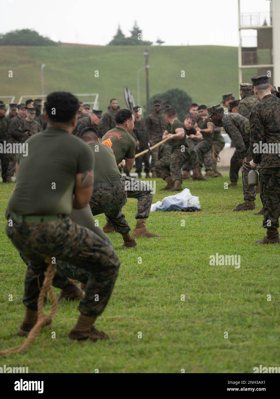 U.S. Marines with Combat Logistics Regiment 37, 3rd Marine Logistics ...