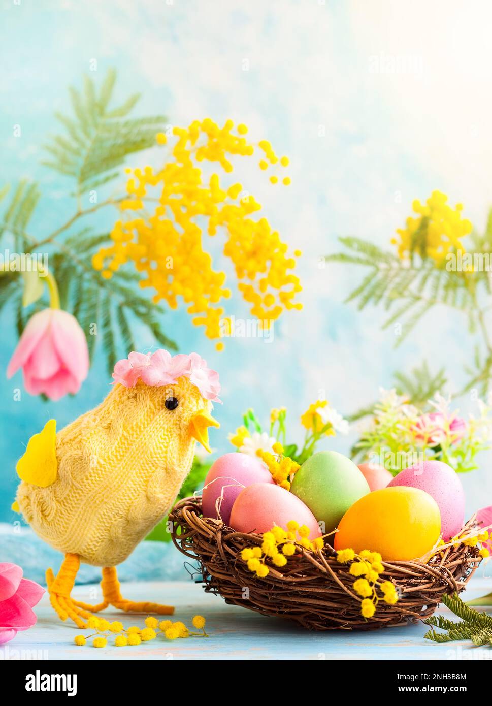 Holiday easter chick funny hi-res stock photography and images - Alamy