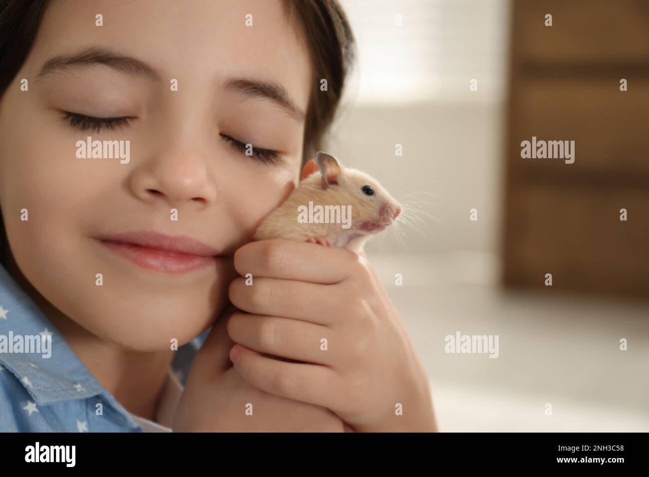 Little girl hugging cute hamster at home, closeup Stock Photo - Alamy