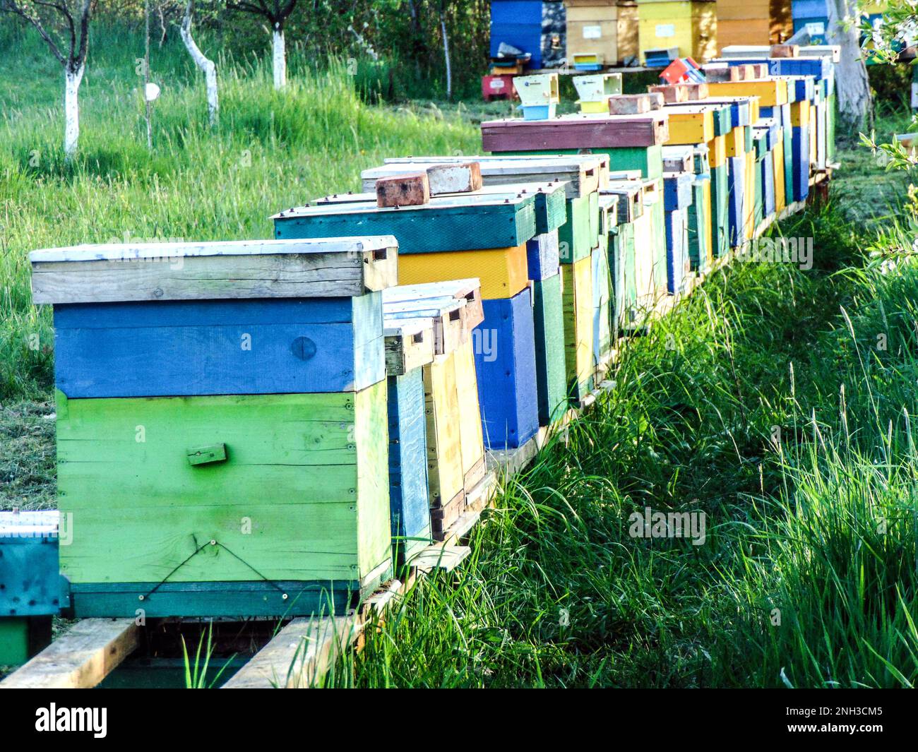 Bee hives architecture hi-res stock photography and images - Alamy