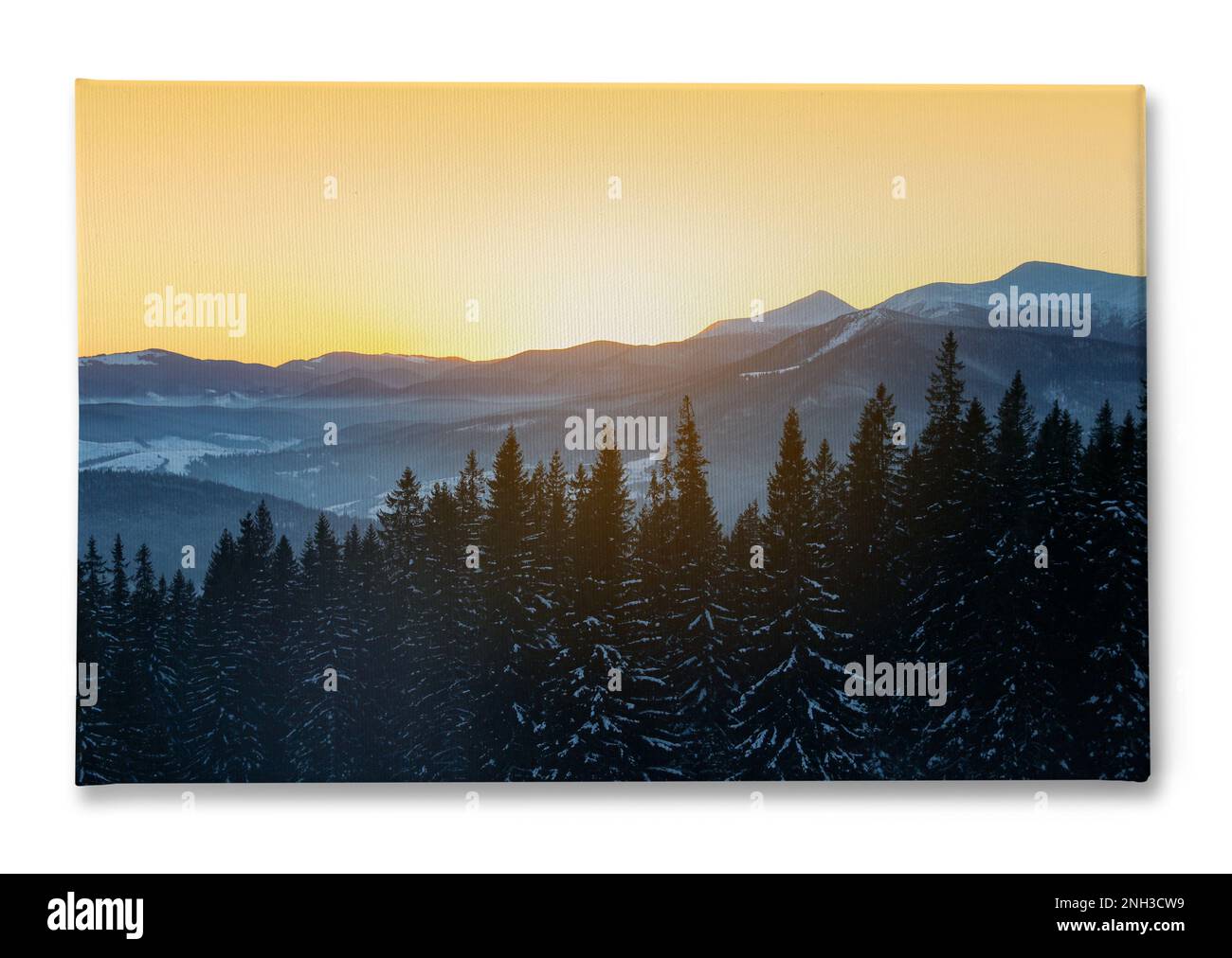 Exhibition in forest Cut Out Stock Images & Pictures - Alamy