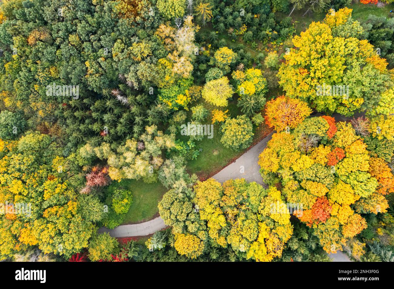 Aerial view of beautiful autumn park with path Stock Photo - Alamy