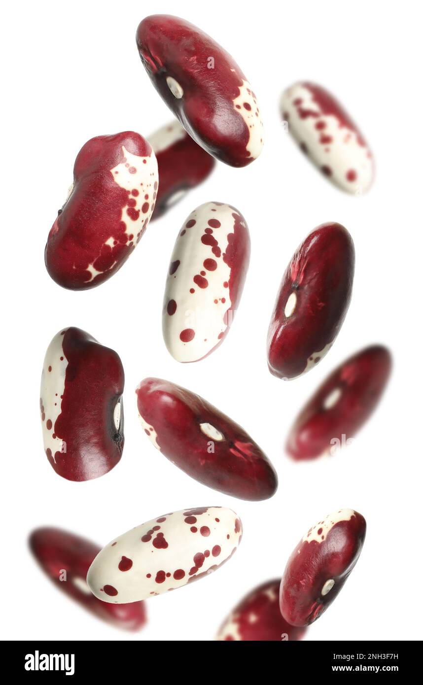 Many beans falling on white background, vertical banner design. Vegan ...