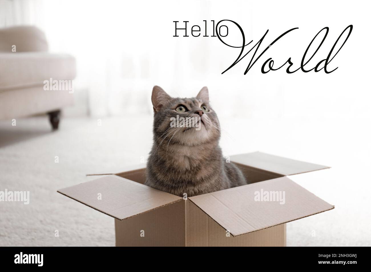 Hello kitty paper hi-res stock photography and images - Alamy