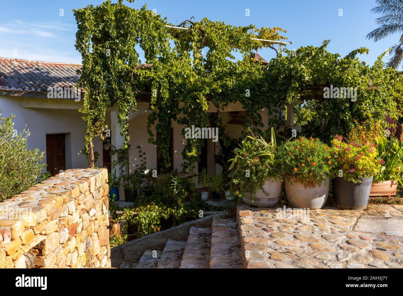 House and garden, cottage garden, Crete, Greece Stock Photo - Alamy