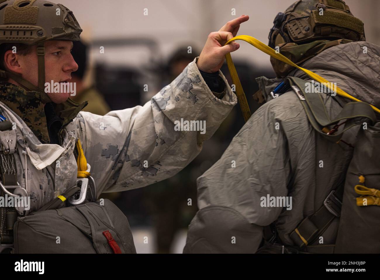 U.S. Marines with 2d Reconnaissance Battalion, 2d Marine Division ...