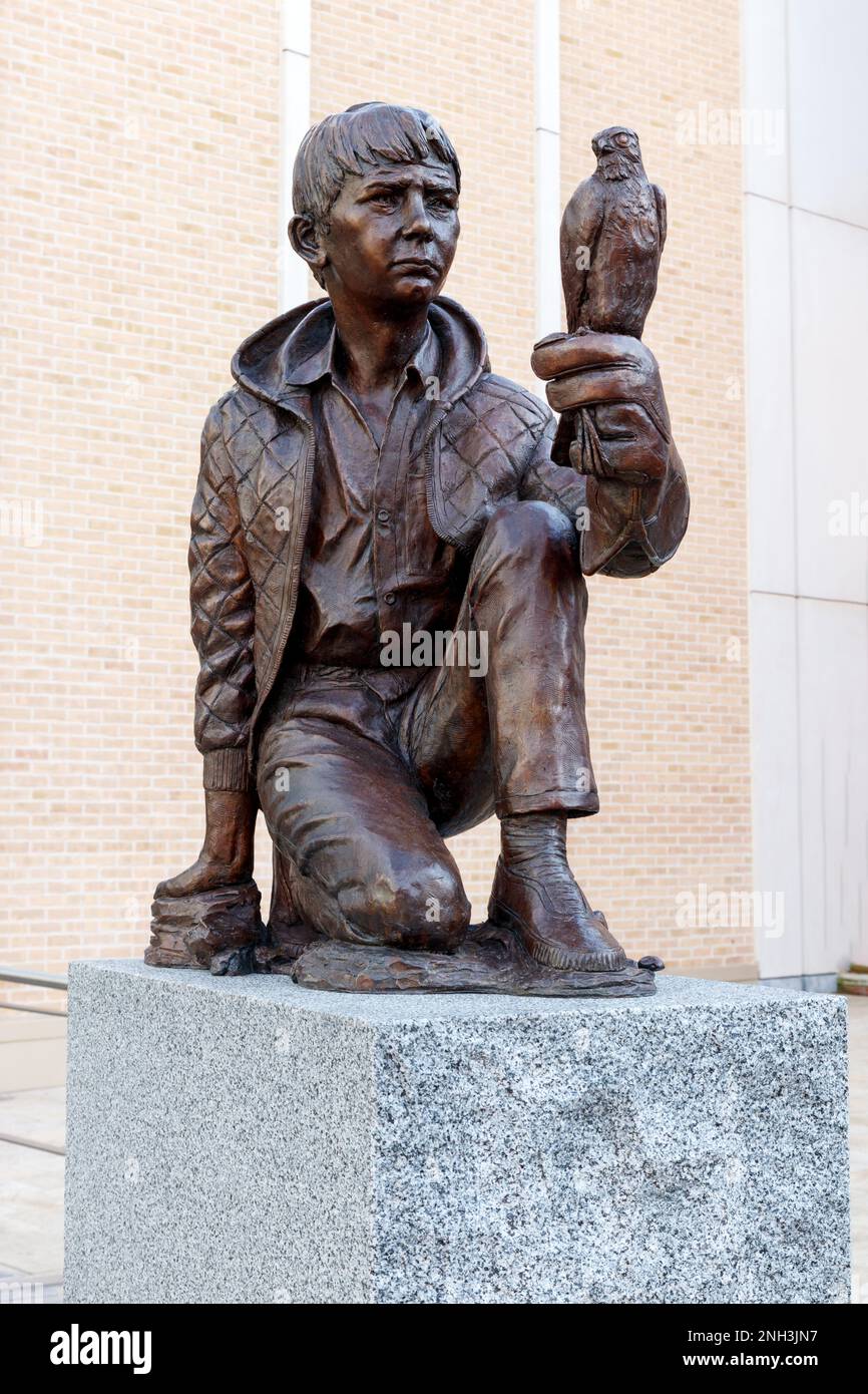 Kes hi-res stock photography and images - Alamy