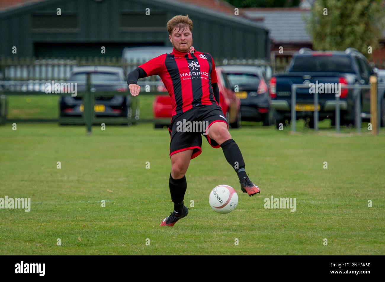 Holyhead hotspur football club hi-res stock photography and images - Alamy