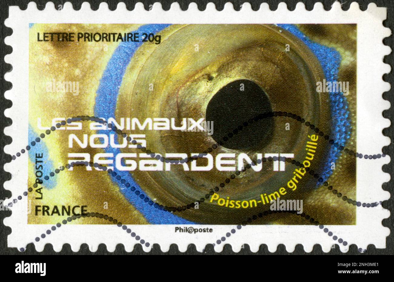 TIMBRE OBLITÉRÉ LES ANIMAUX NOUS REGARDENT. POISSON-LIME GRIBOUILLE ...