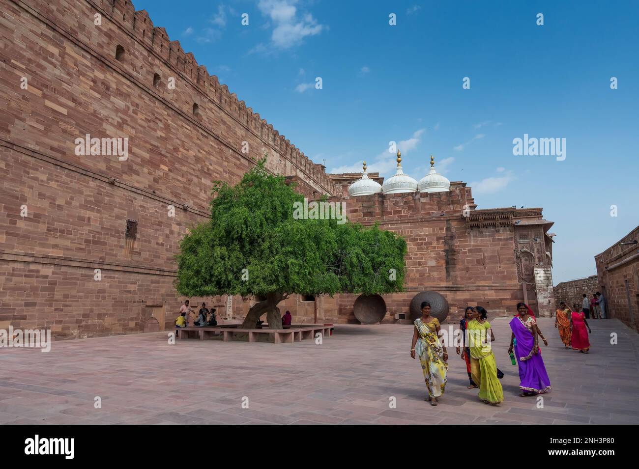Jodhpur, Rajasthan, India - 19th October 2019 : Rajasthani women ...
