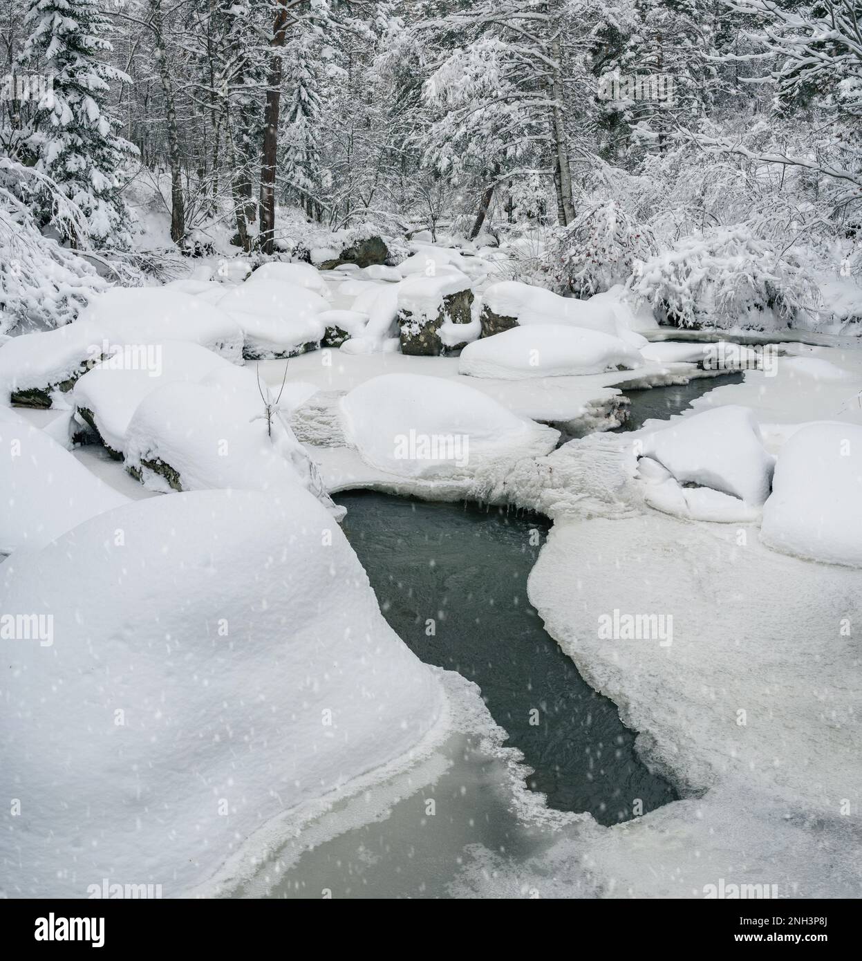 Beauty winter landscape with fair trees under the snow Stock Photo - Alamy