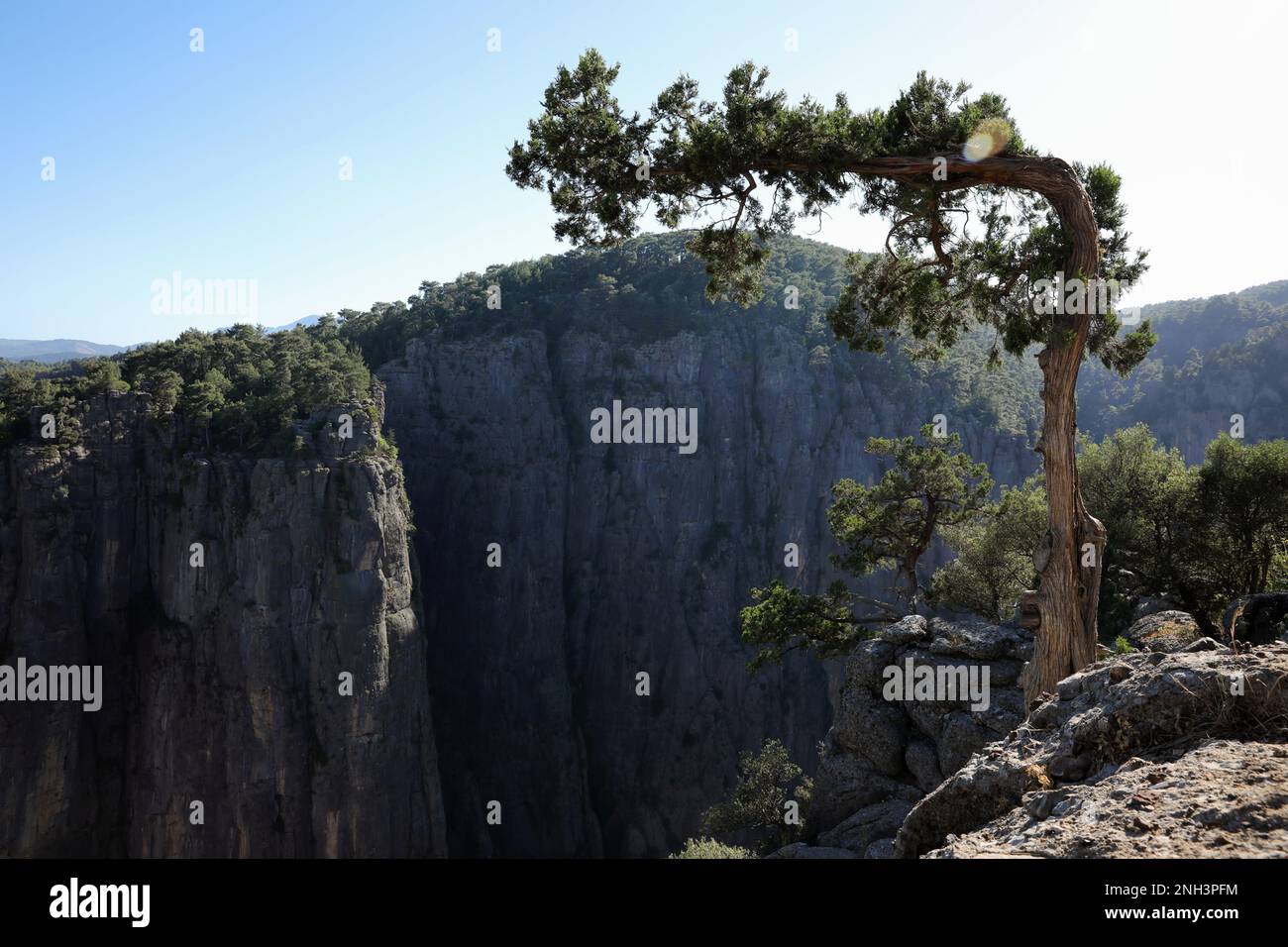 Beautiful landscape with tree on rocky cliff Stock Photo - Alamy