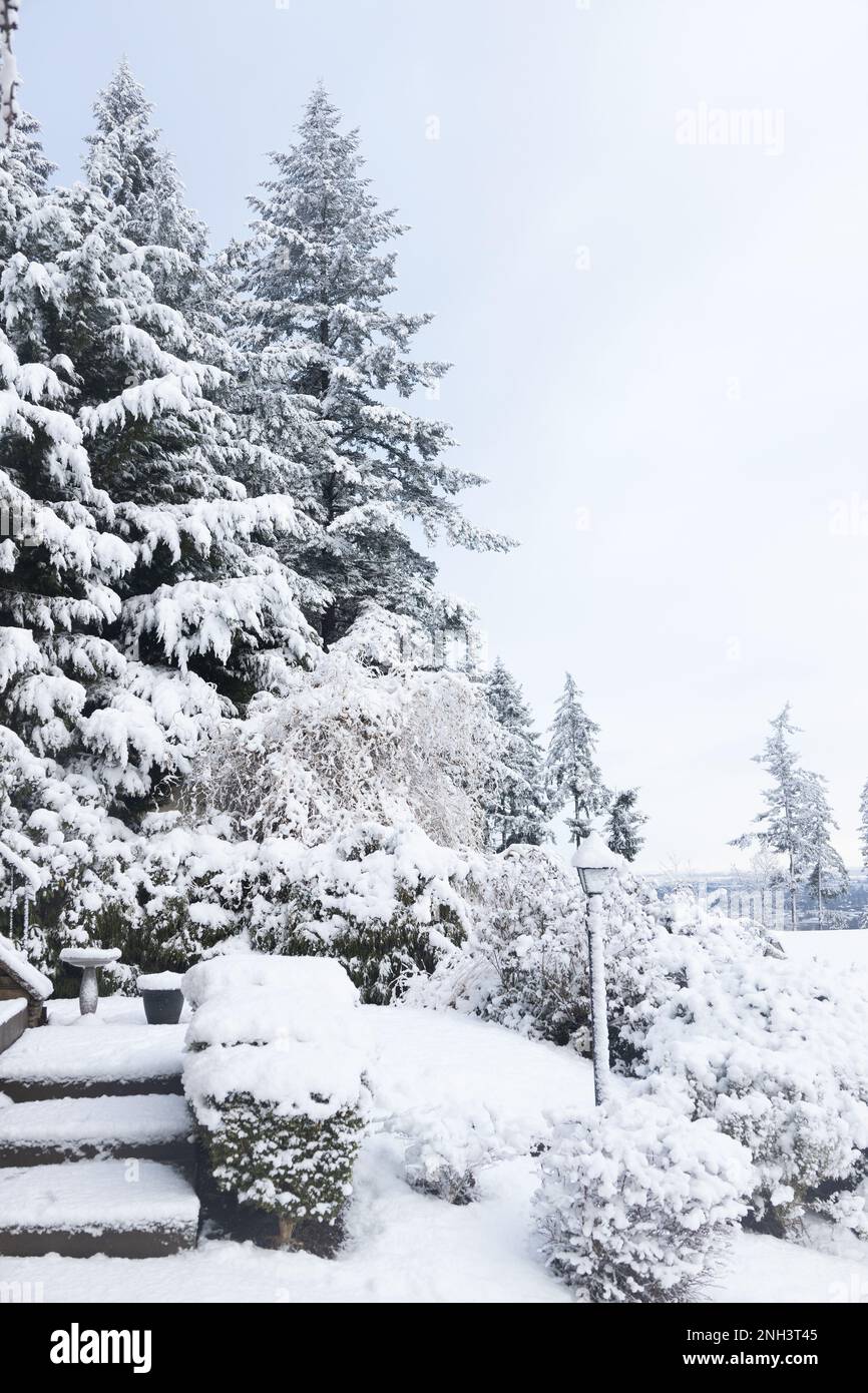 Snowy front yard hi-res stock photography and images - Alamy