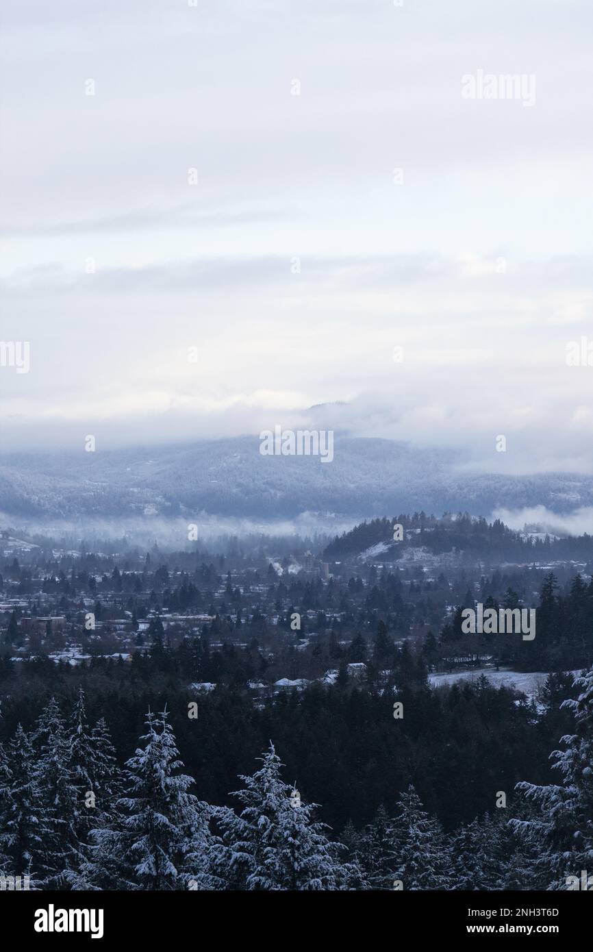View of Eugene, Oregon, on a snowy winter morning, from the southwest ...