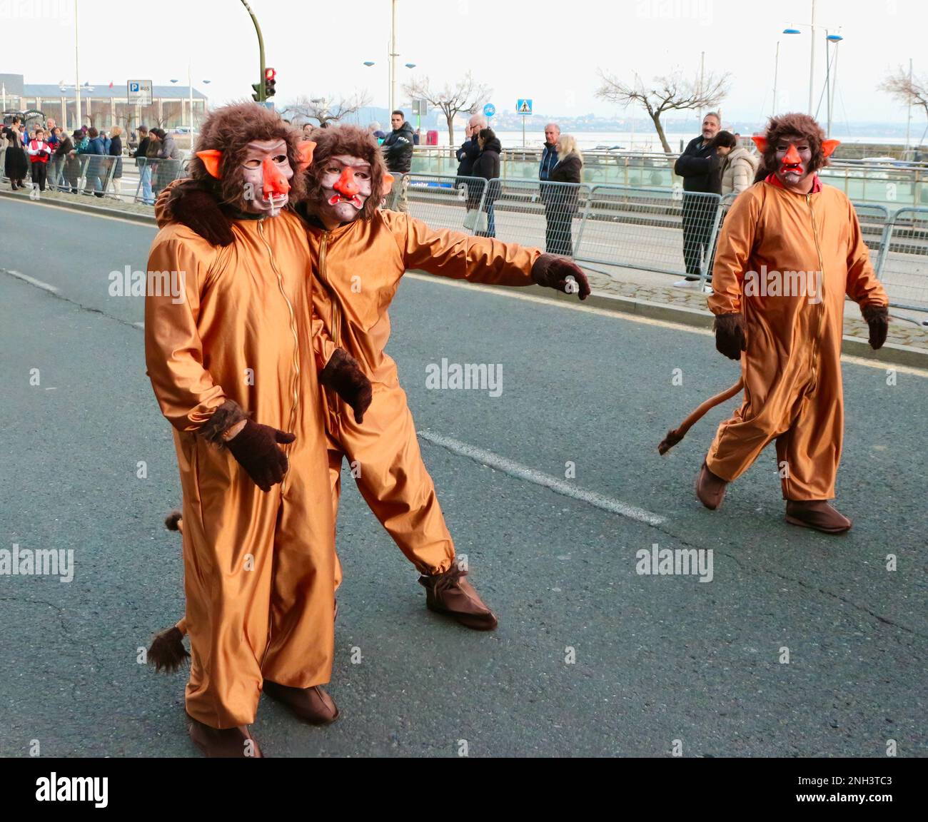 Evening carnival parade with participants in monkey costumes in the ...