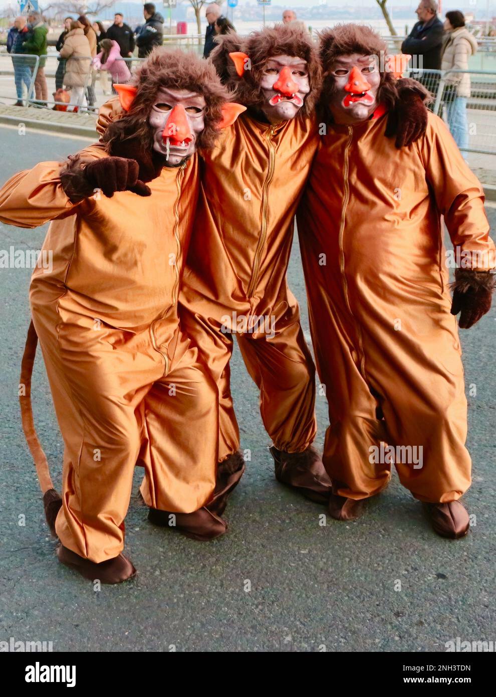 Monkey parade hi-res stock photography and images - Alamy