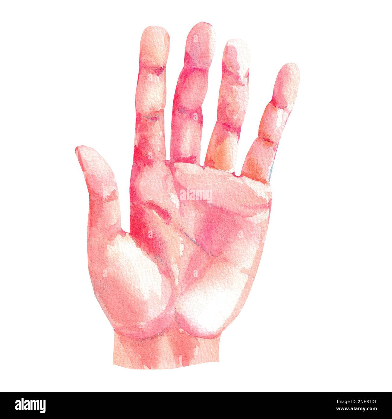 Watercolor hand man on white background for product design Stock Photo ...