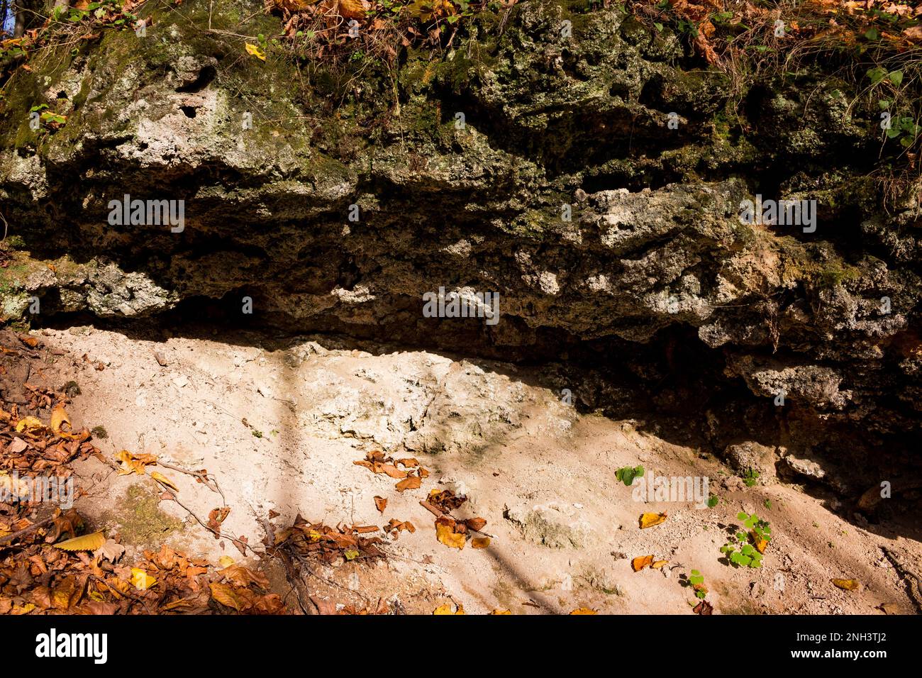 Weathered limestone exposed to the surface in a forested area Stock ...