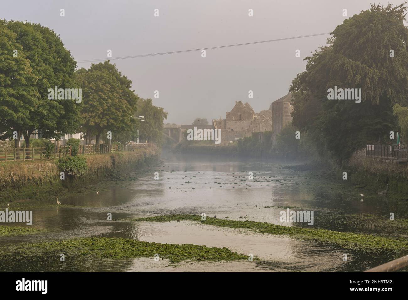 Ruins of Desmond Castle on River Deel in Askeaton, co Limerick, Ireland ...