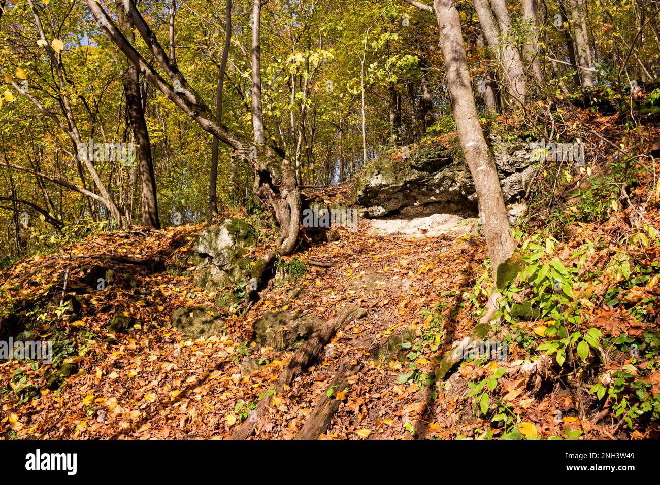 Beautiful forest landscape with rock outcrop on the slope. Left bank of ...