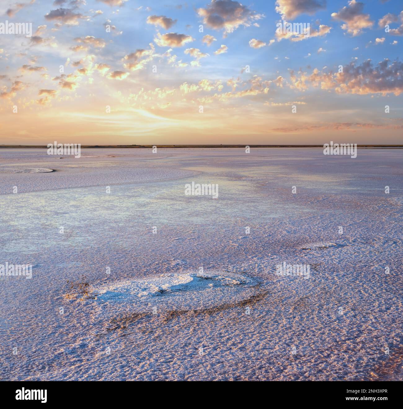 Sunset on the Genichesk pink extremely salty lake (colored by ...