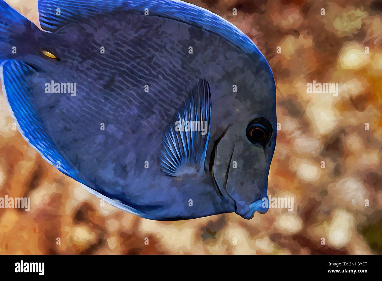 Closeup Digitally created watercolor painting of Blue tang surgeonfish ...