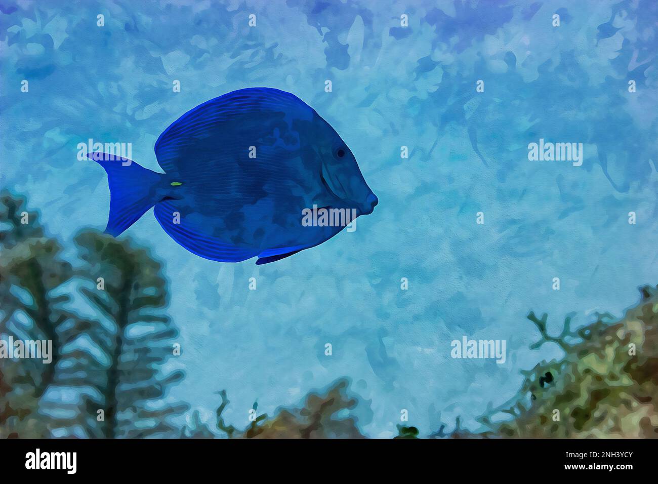Digitally created watercolor painting of Blue tang surgeonfish ...