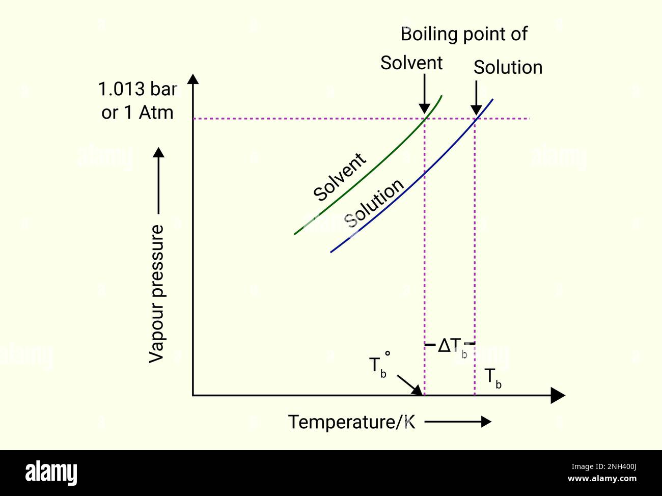 Boiling point of solvent and solution Stock Vector Image & Art - Alamy