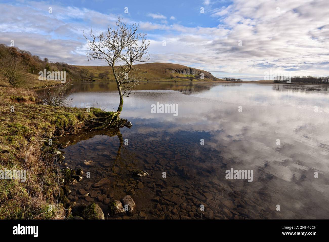National trust malham tarn estate hi-res stock photography and images ...