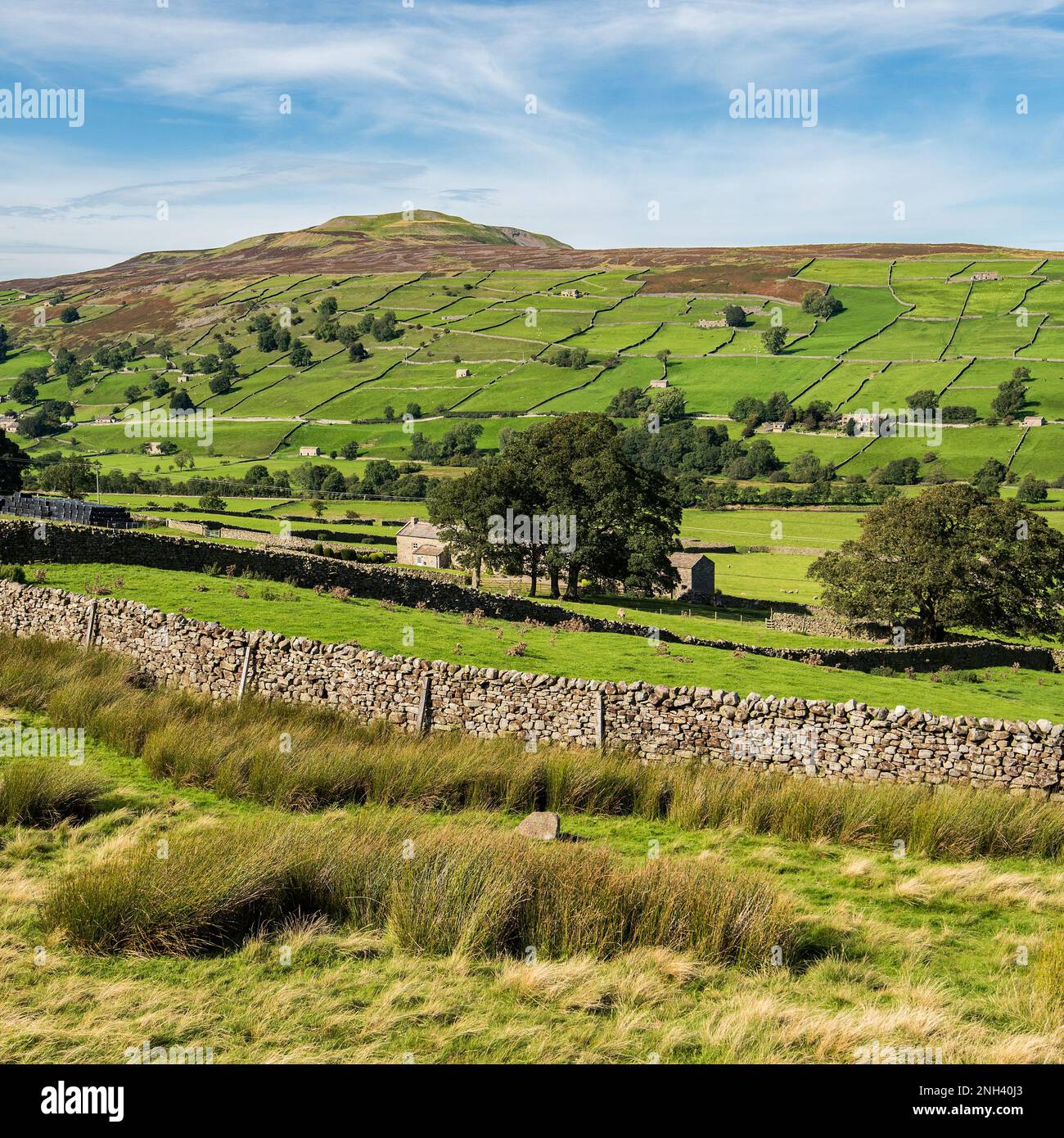 Image of Swaledale in The Yorkshire Dales National Park Stock Photo - Alamy