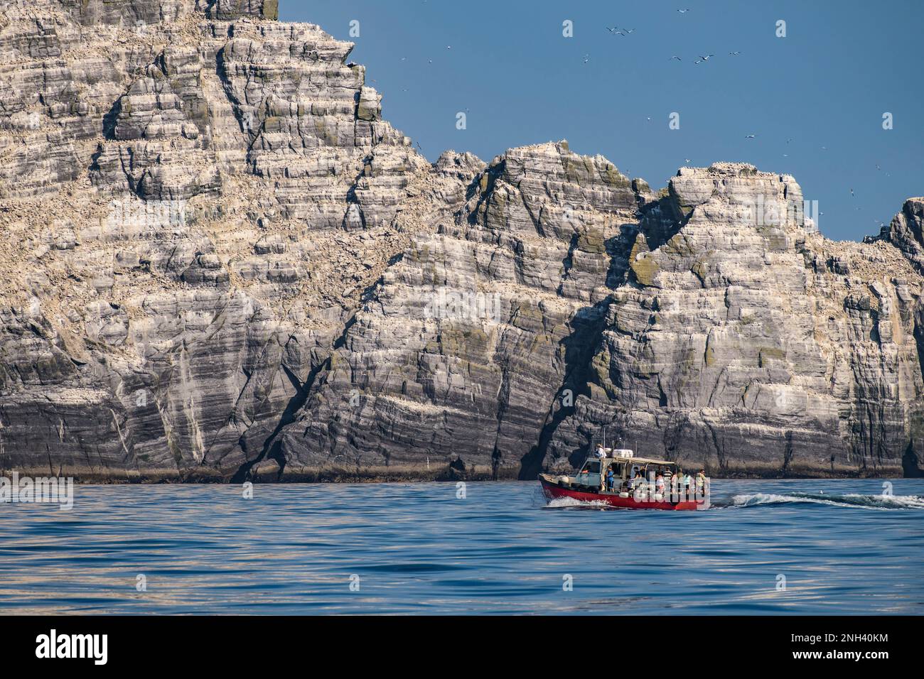 Commercial boat with tourists on the way to Skellig Islands with Great ...
