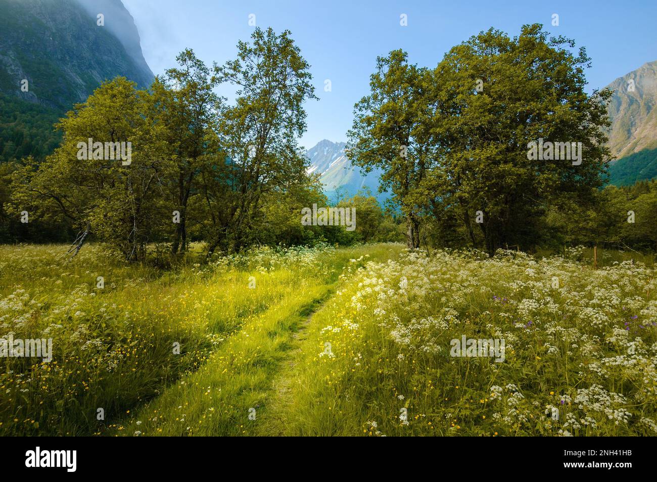 Winding trail cuts through hi-res stock photography and images - Alamy