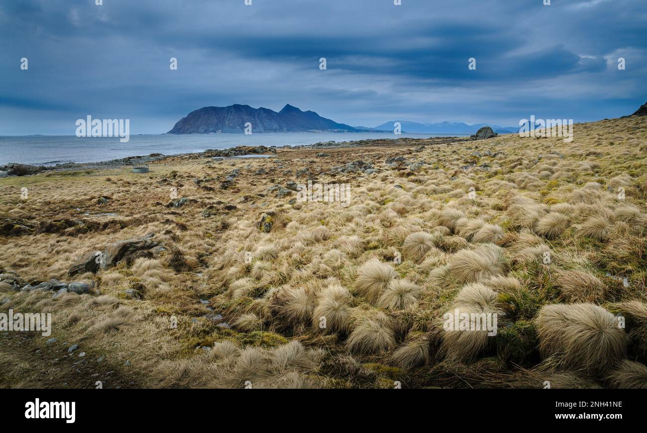A coastal landscape showcases dry grass and rocky terrain with dark ...