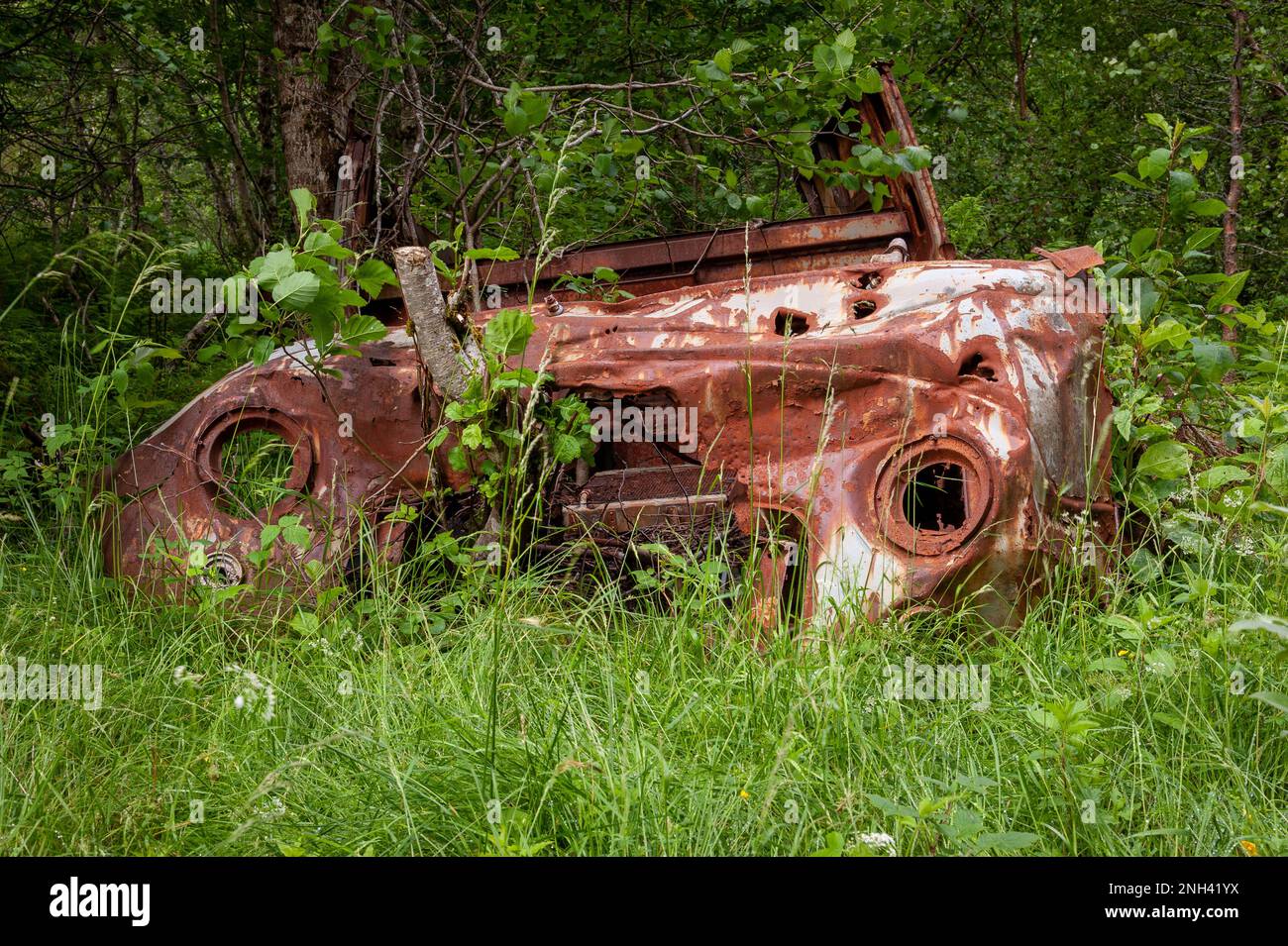 Rusty car wreck in the woods Stock Photo - Alamy
