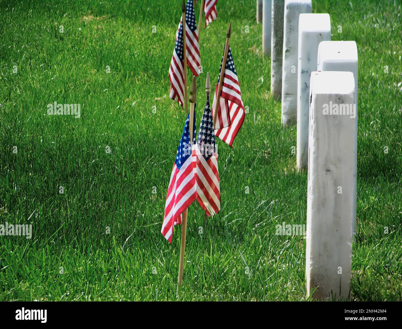 Small American Flags are planted in front of the tombstones at ...