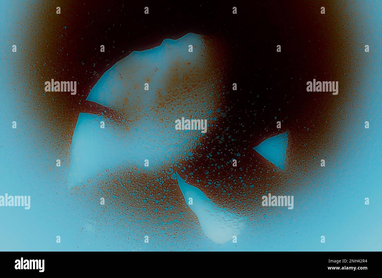 The old fish living in my mind Stock Photo - Alamy