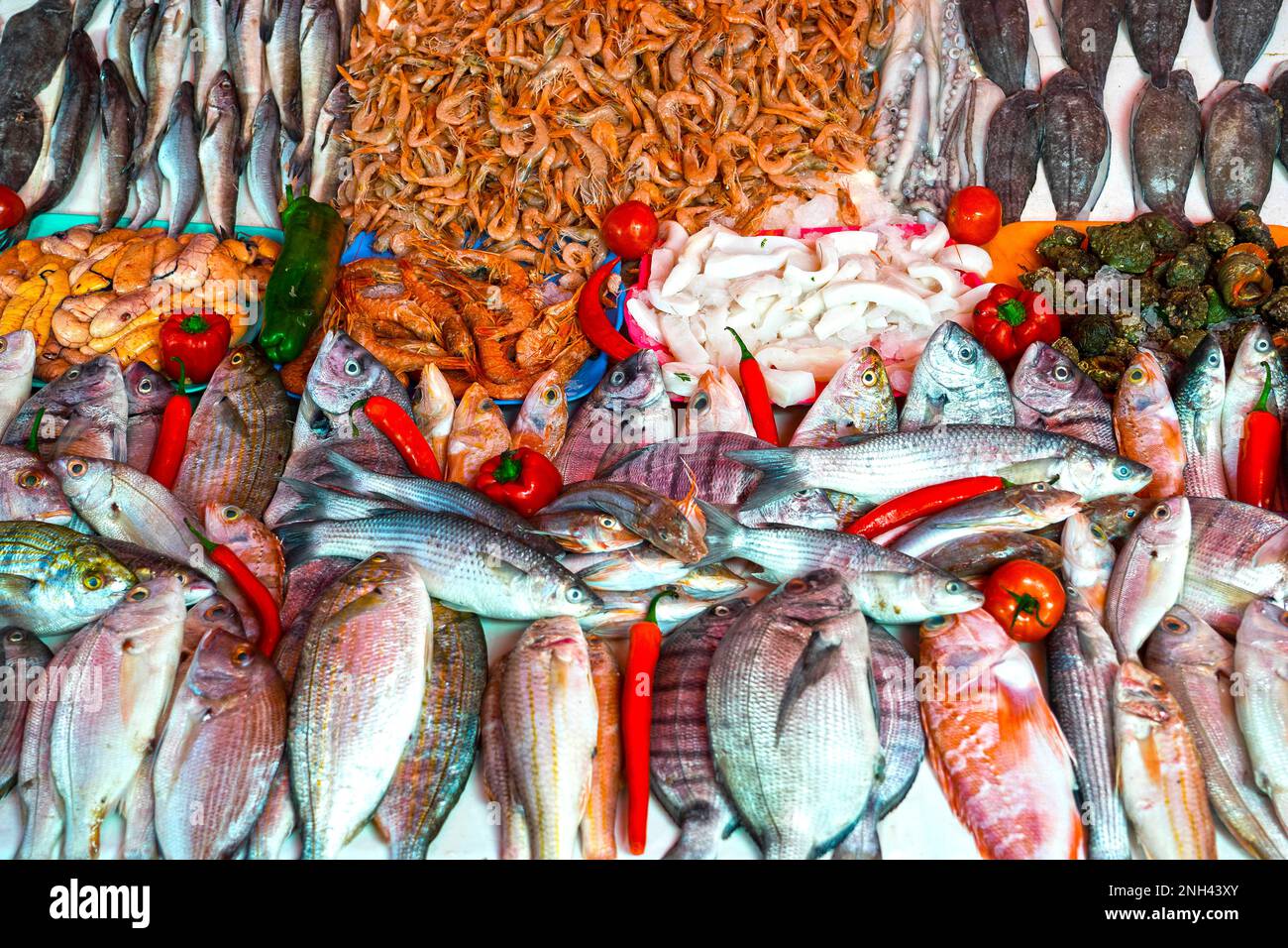 fish in the fish market Stock Photo - Alamy