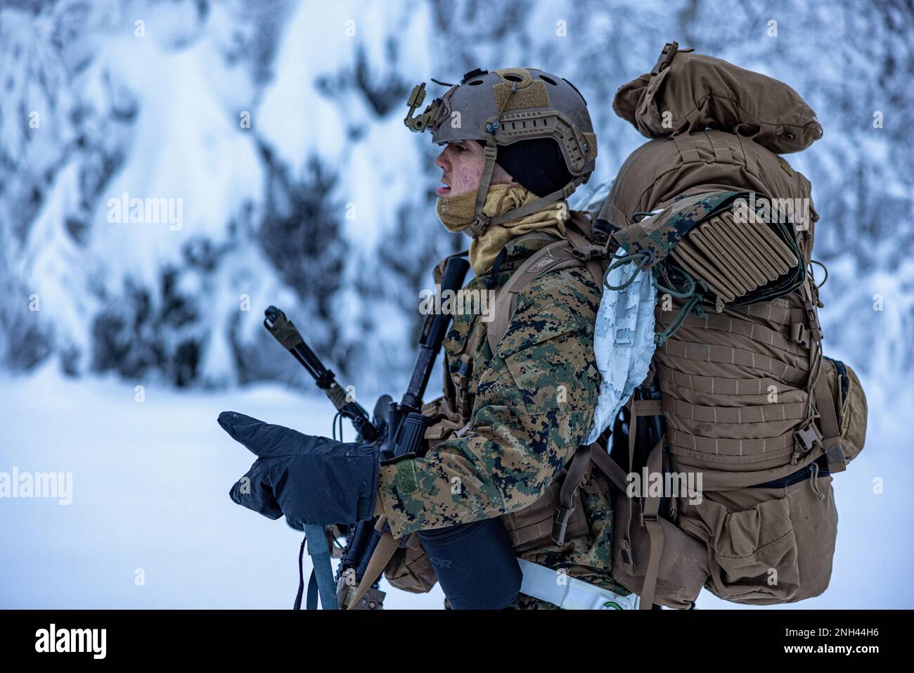 U.S. Marine Corps Cpl. Sami Shaw, a reconnaissance Marine with 2d ...