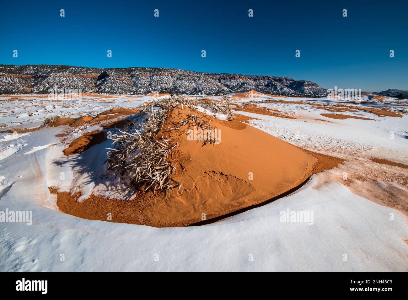 Snow on Coral Pink Sand Dunes. Blowing snow and drifting sand create ...