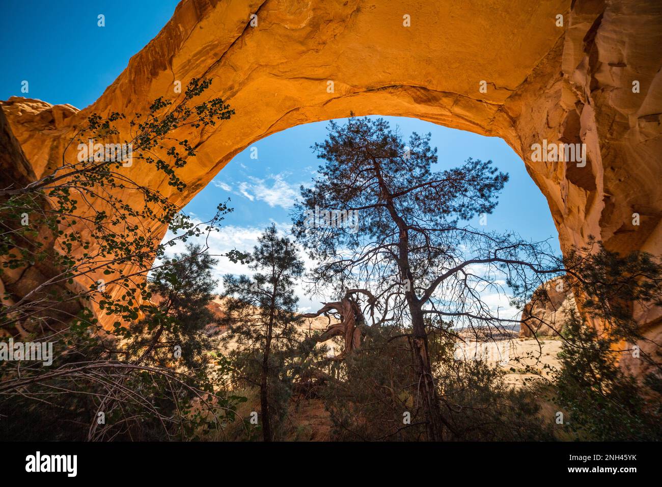 Pritchett arch hi-res stock photography and images - Alamy