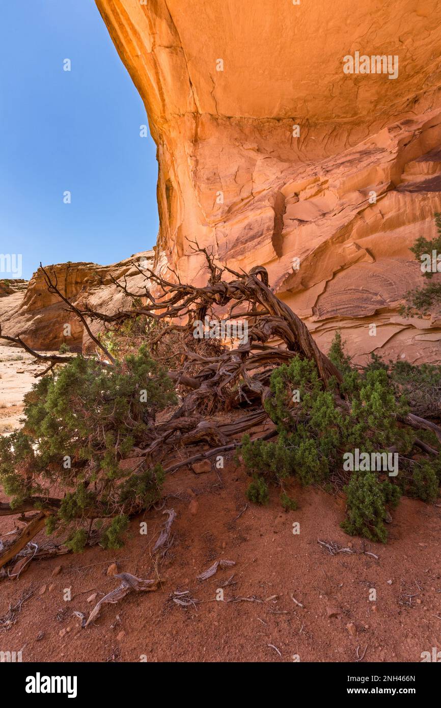 Pritchett arch hi-res stock photography and images - Alamy